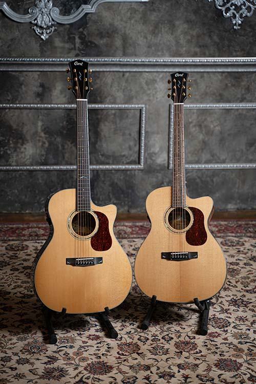 CORT GOLD-OC6 BOCOTE