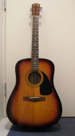 FENDER DG4