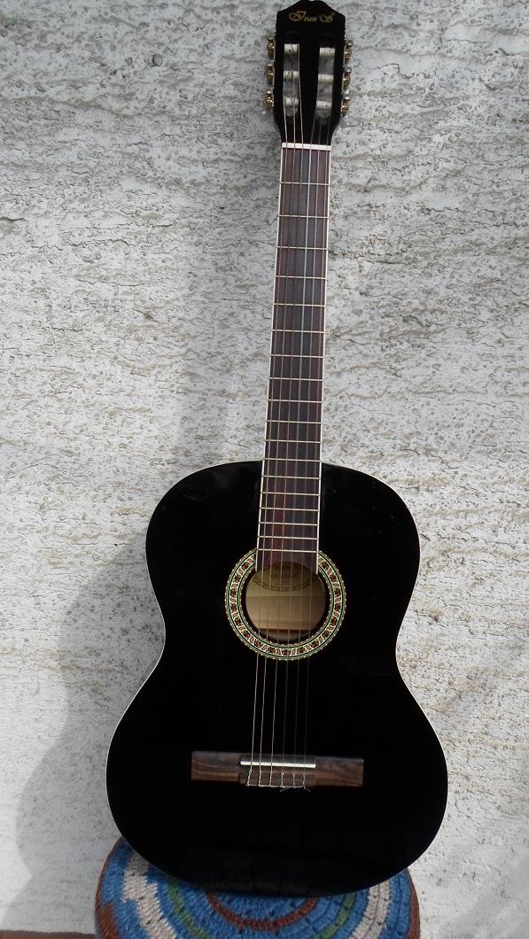 Gitara Ivans 039;S,Guitar work shop,Mod:ISA-CD WH
