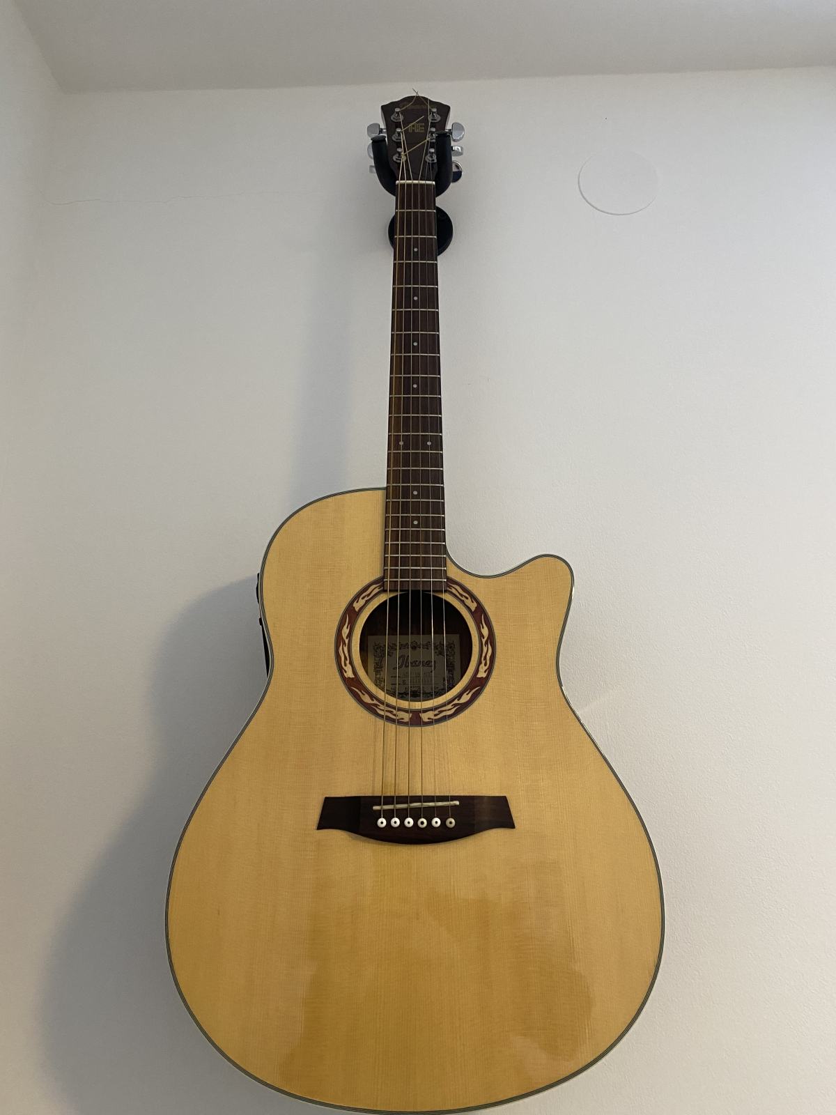 Ibanez AEF 18 NT