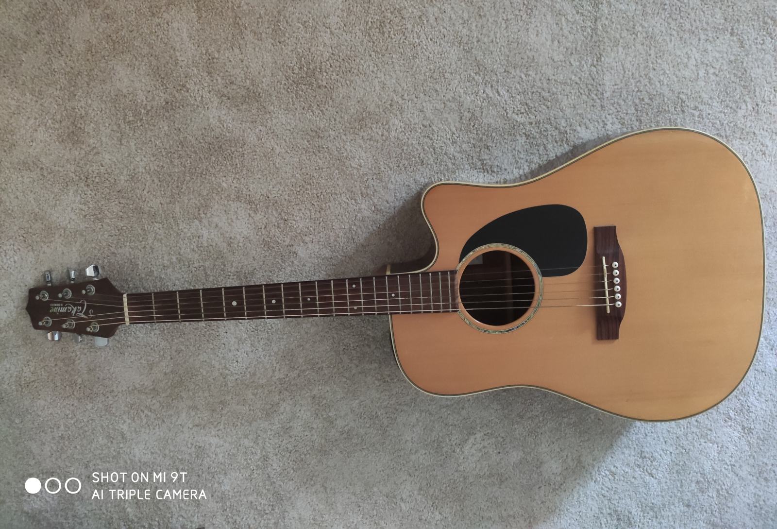 Takamine G Series