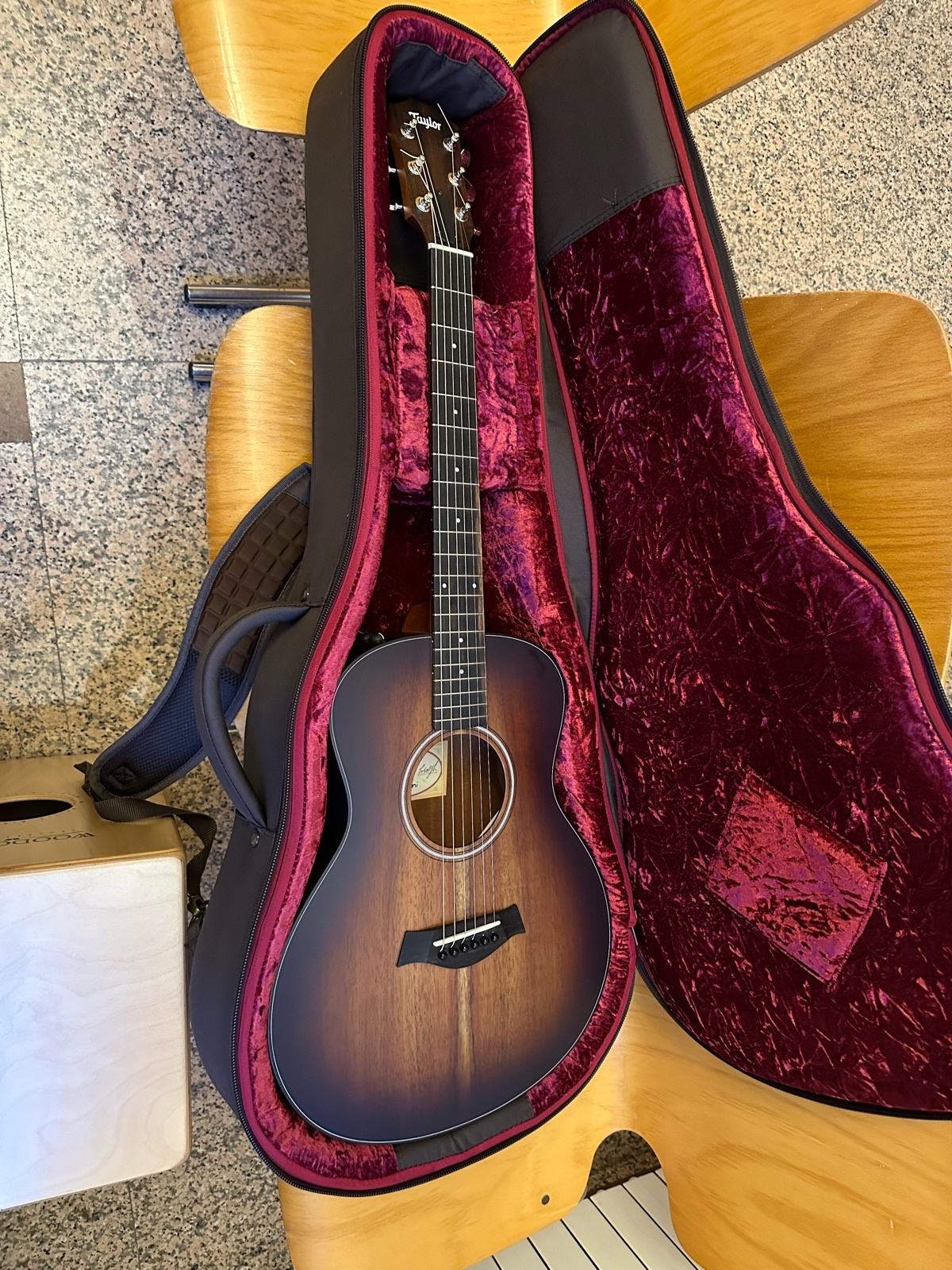 TAYLOR GS mini e-koa plus