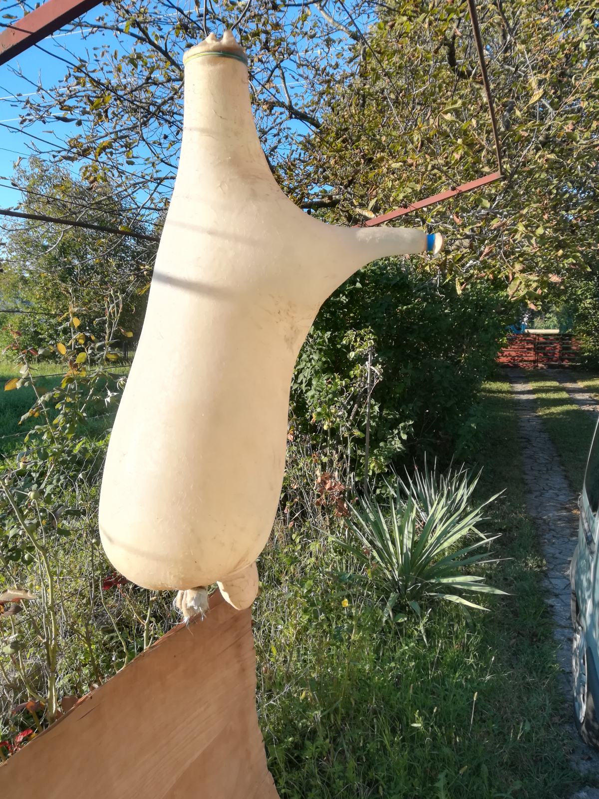 JAREČE MJEŠINE ZA INSTRUMENTE: GAJDE, DUDE, DIPLE I ISTARSKI MIH