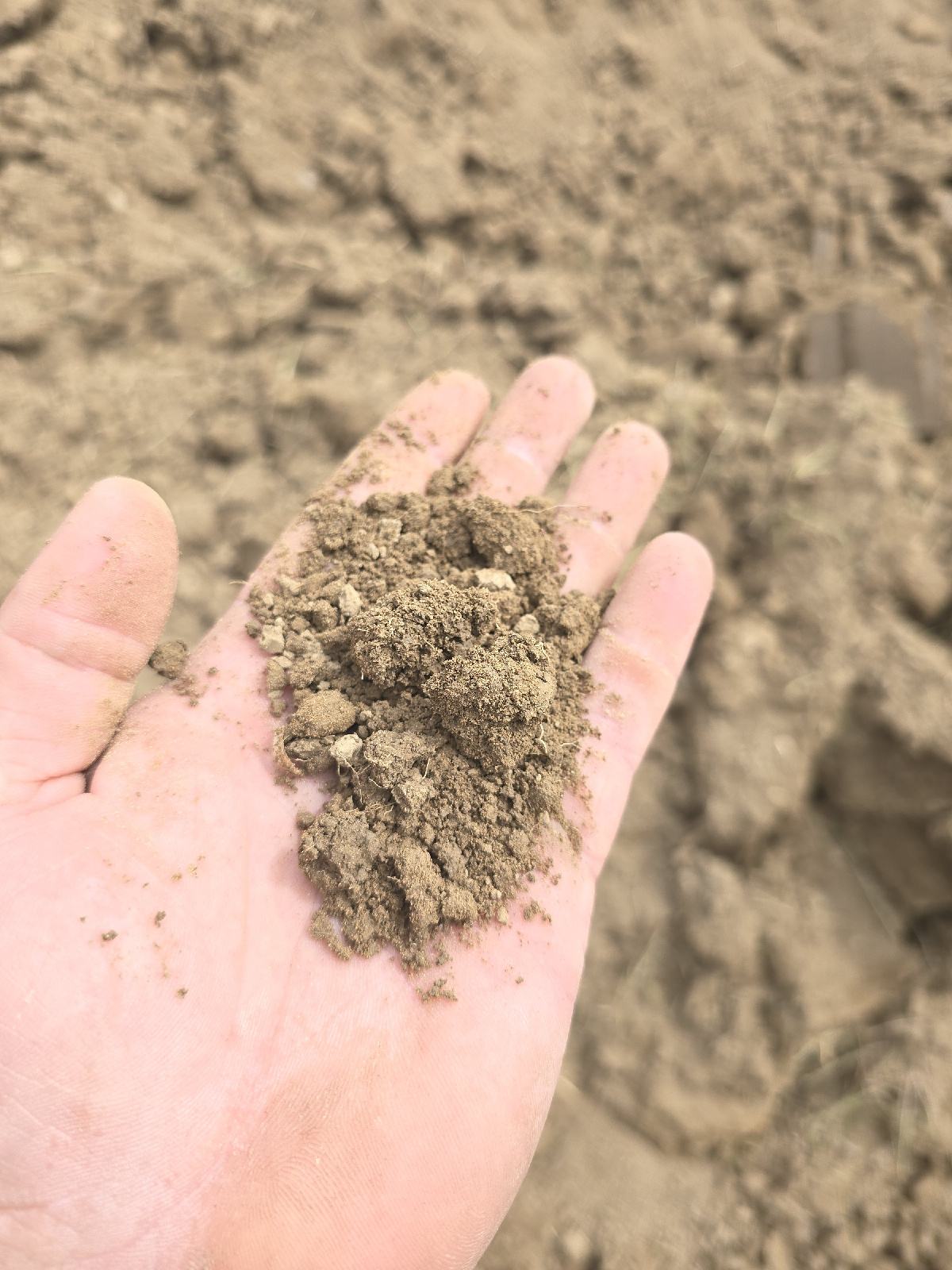 Humus, Pjeskovita zemlja za sadnju cvijeća, Prijevoz Grajfer Zagreb
