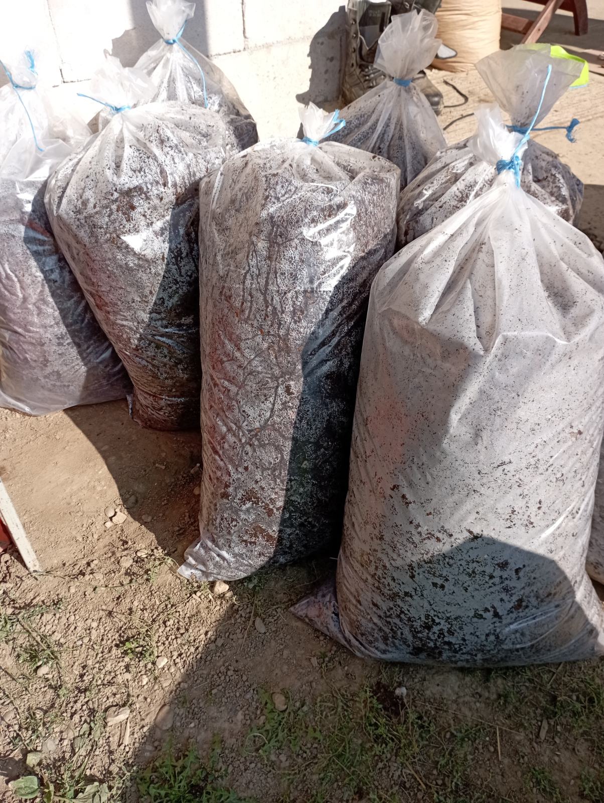 Prodajem konjski gnoj