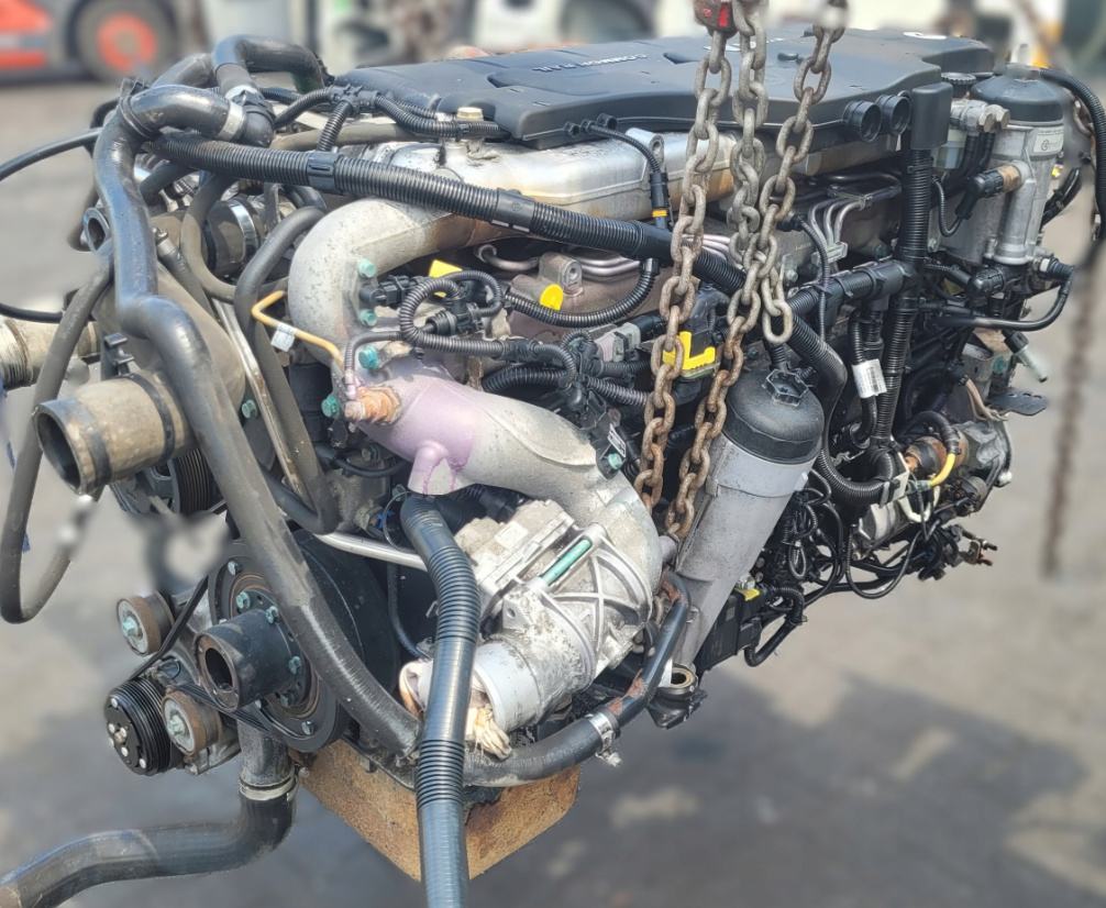 Motor MAN TGL TGM D0836 LFL66 EURO 6