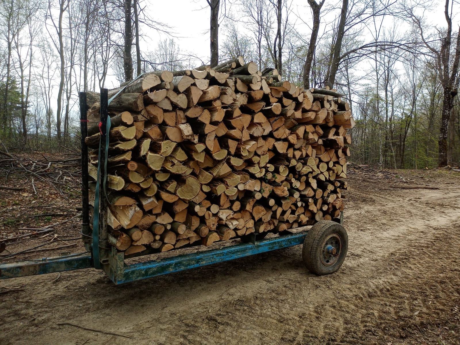 Drva bukva grab hrast