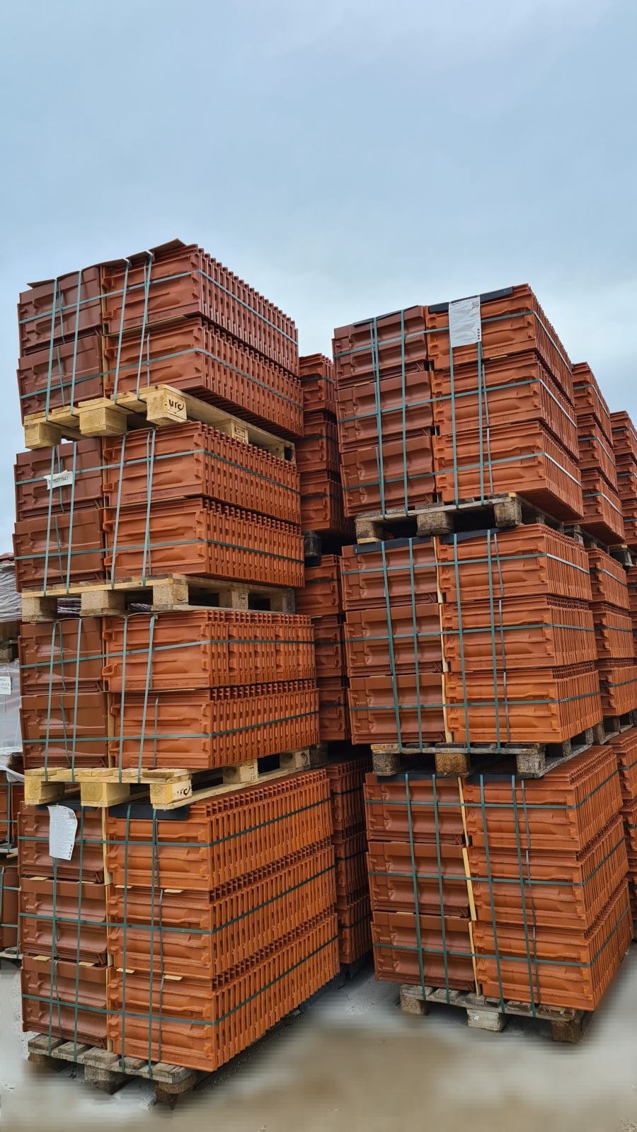 CRIJEP CREATON RAPIDO