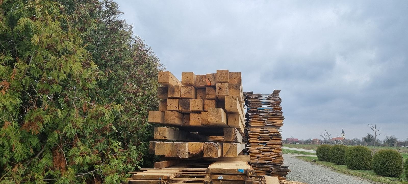 Hrast daske, fosna, građa (Slavonski Hrast Lužnjak)