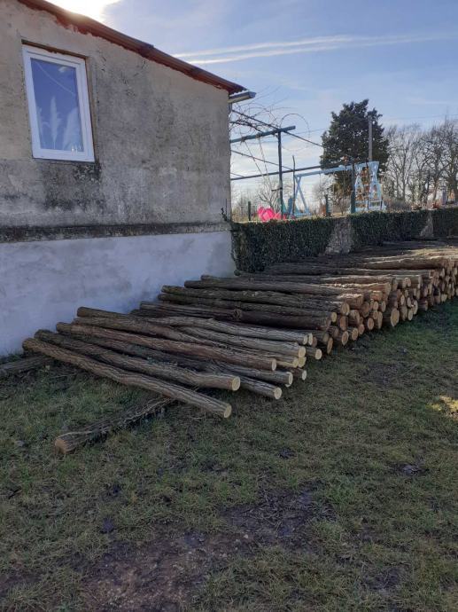 Stupovi od akacije (paluni)