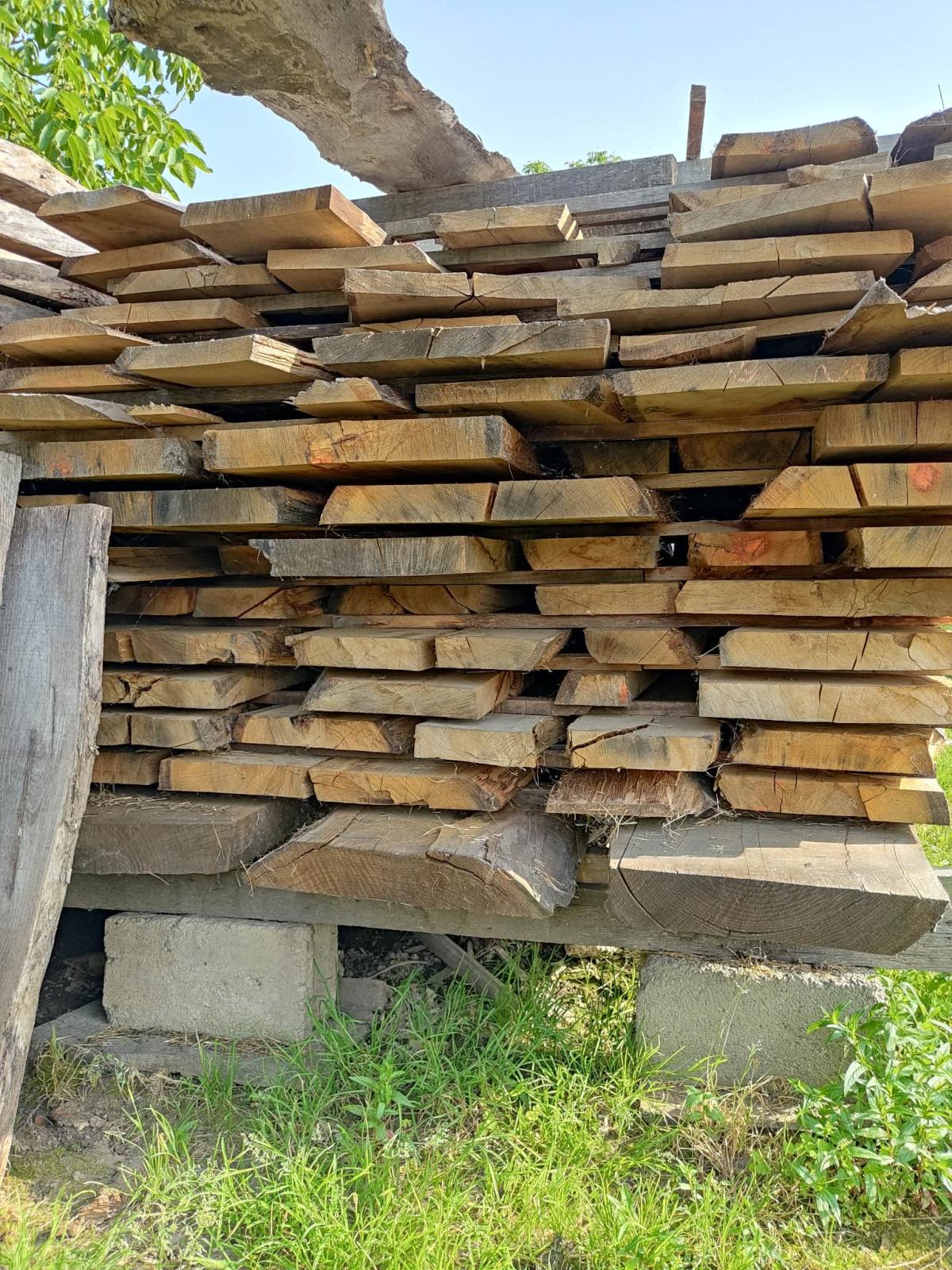 fosne: hrast, klen, jagnjed, joha, kruška i lipa