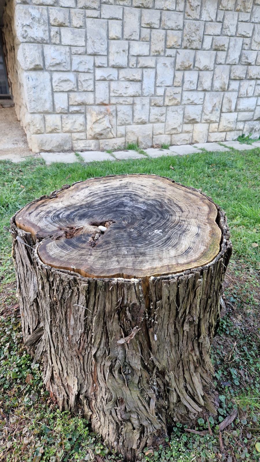 Trupac čepresa