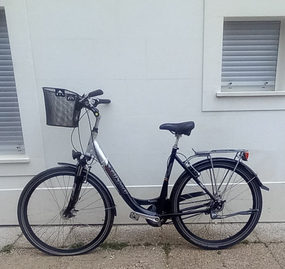 Bicikl kalkhoff agatta allround