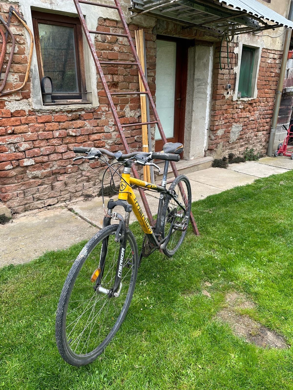 merida cw tfs 100 46cm