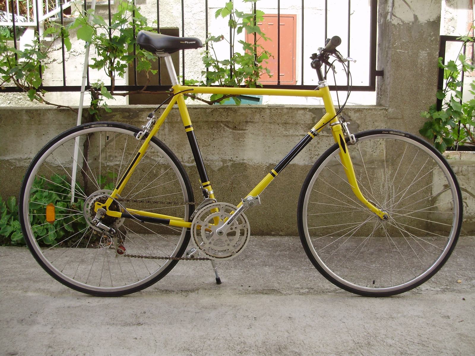 vintage RALEIGH