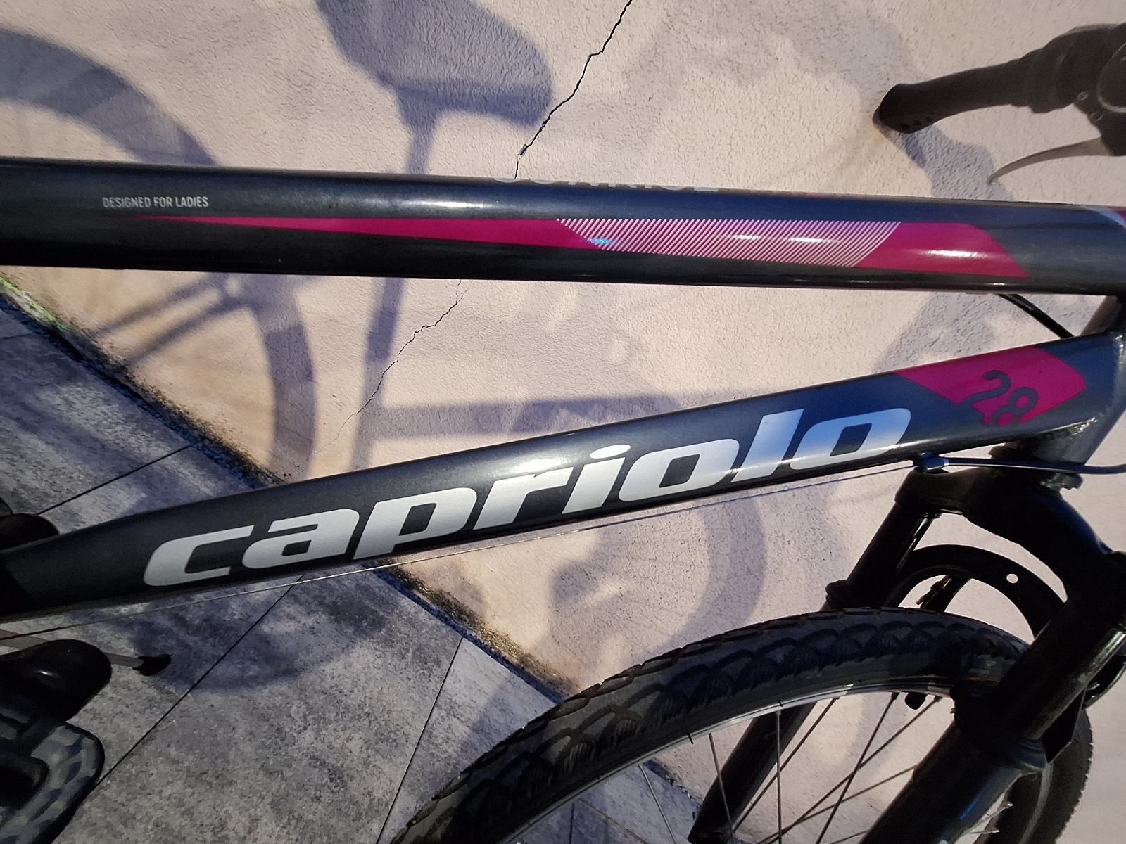 Ženski bicikl Capriolo 19 Shimano