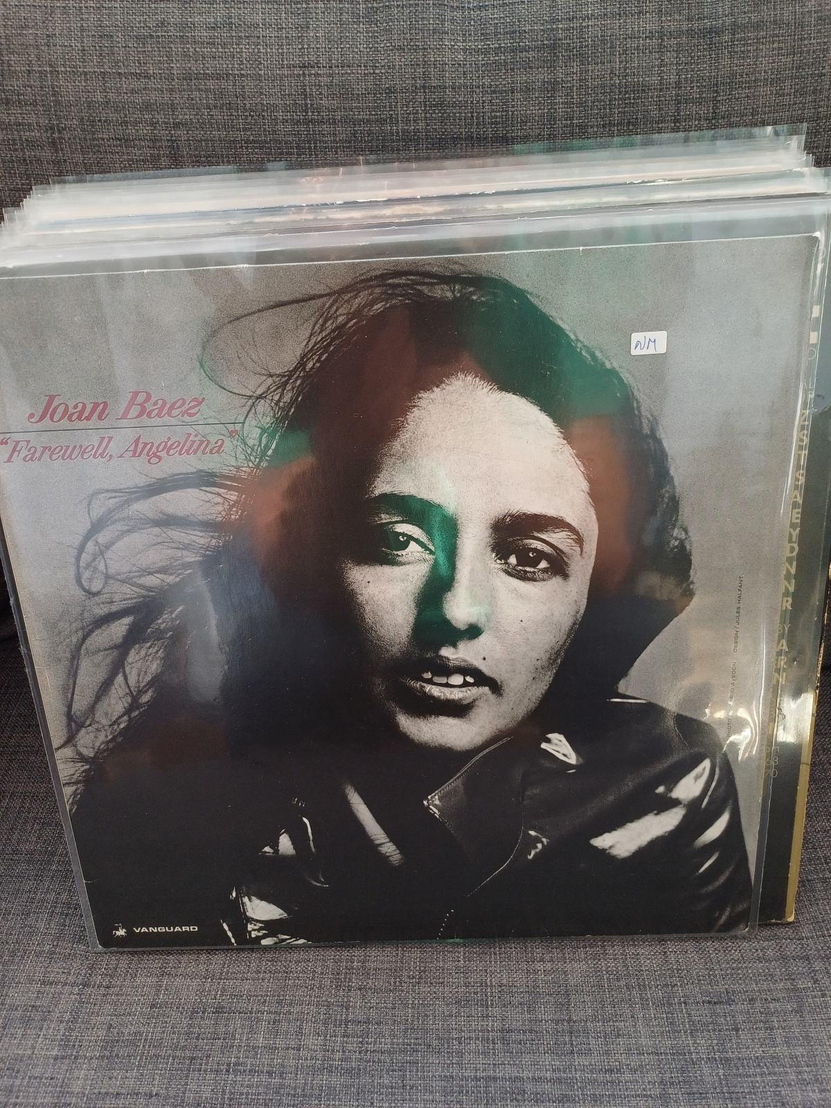 Joan Baez-Farewell, Angelina