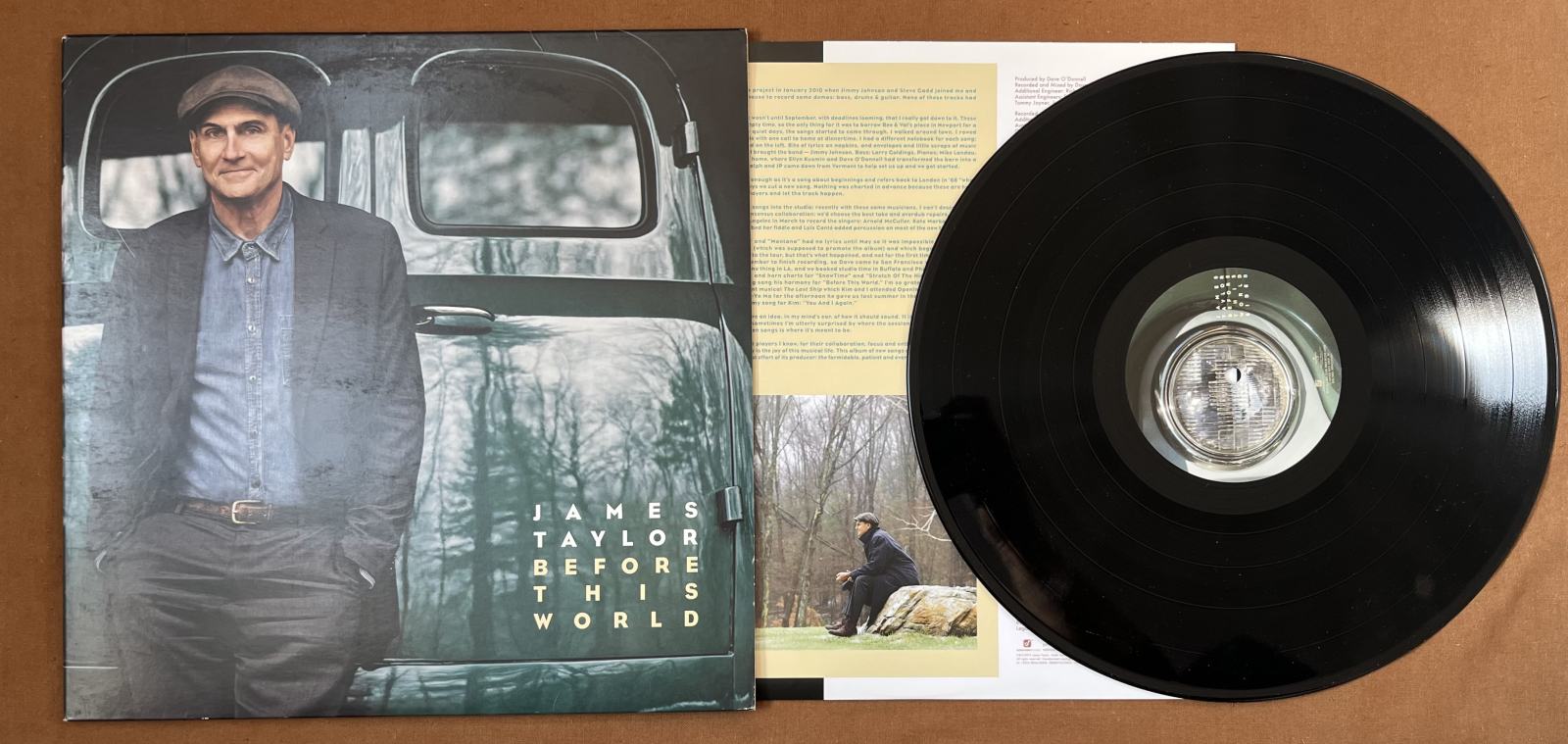 LP PLOČA, JAMES TAYLOR - BEFORE THIS WORLD