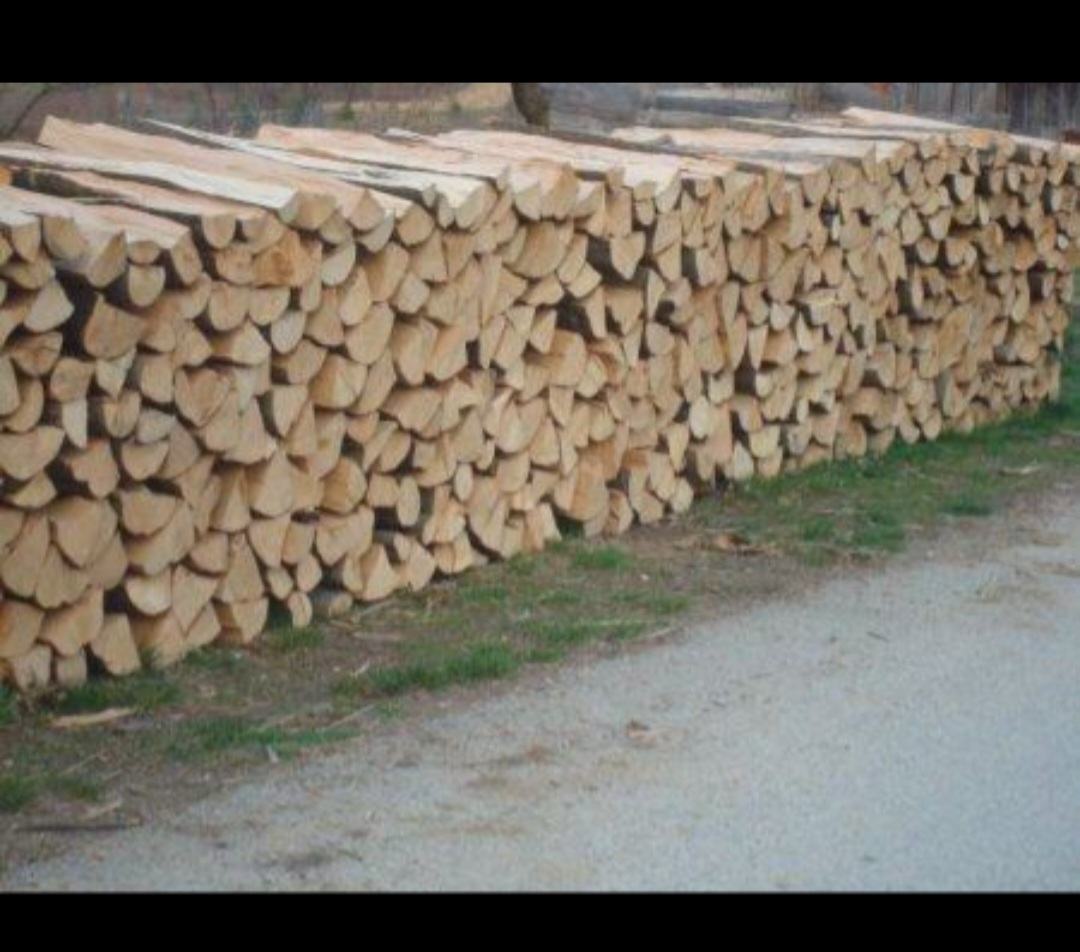 Drva za ogrijev Bukva i Grab 65eura Hrast 55eura