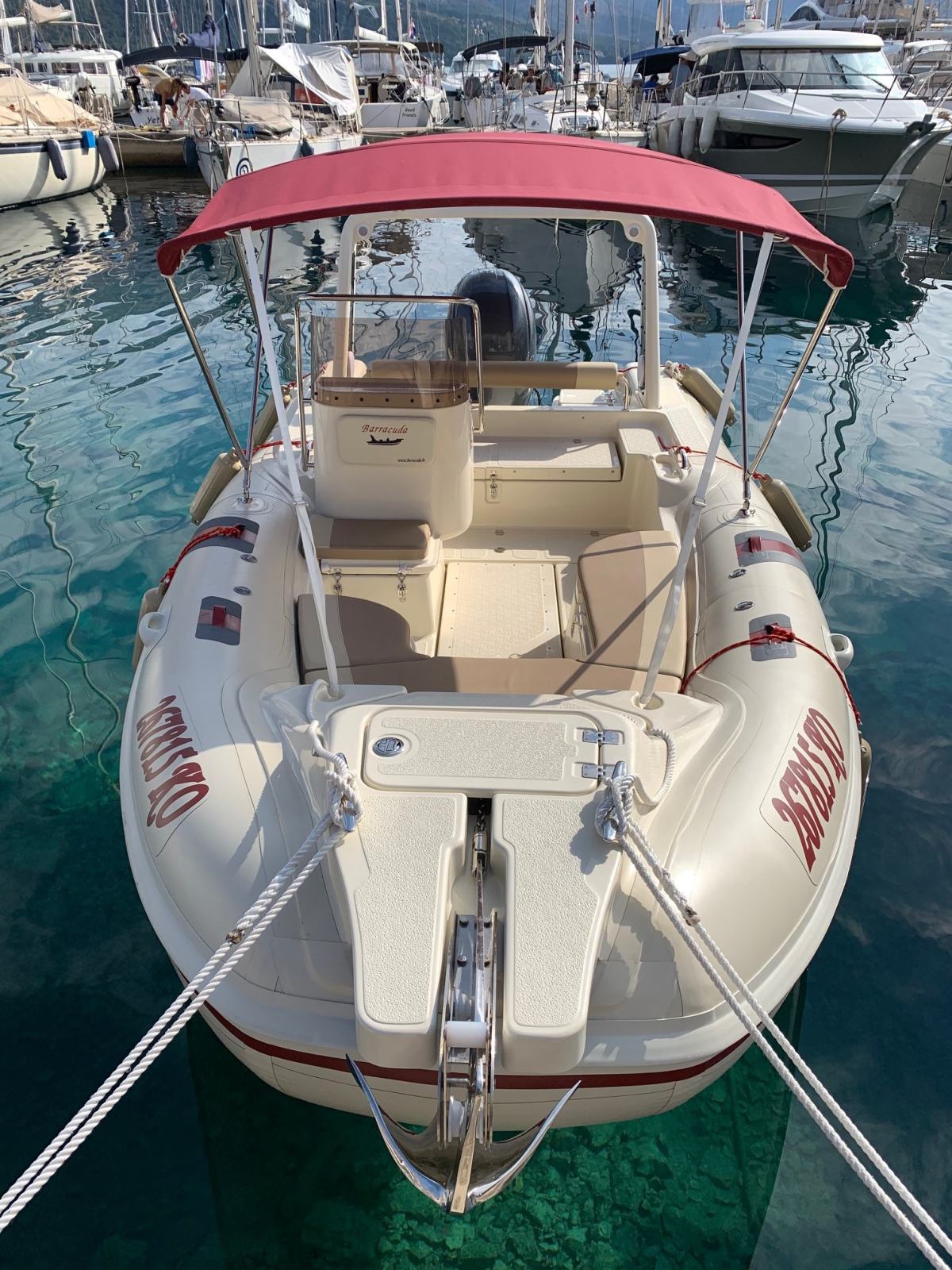 Barracuda 590 +Yamaha 150