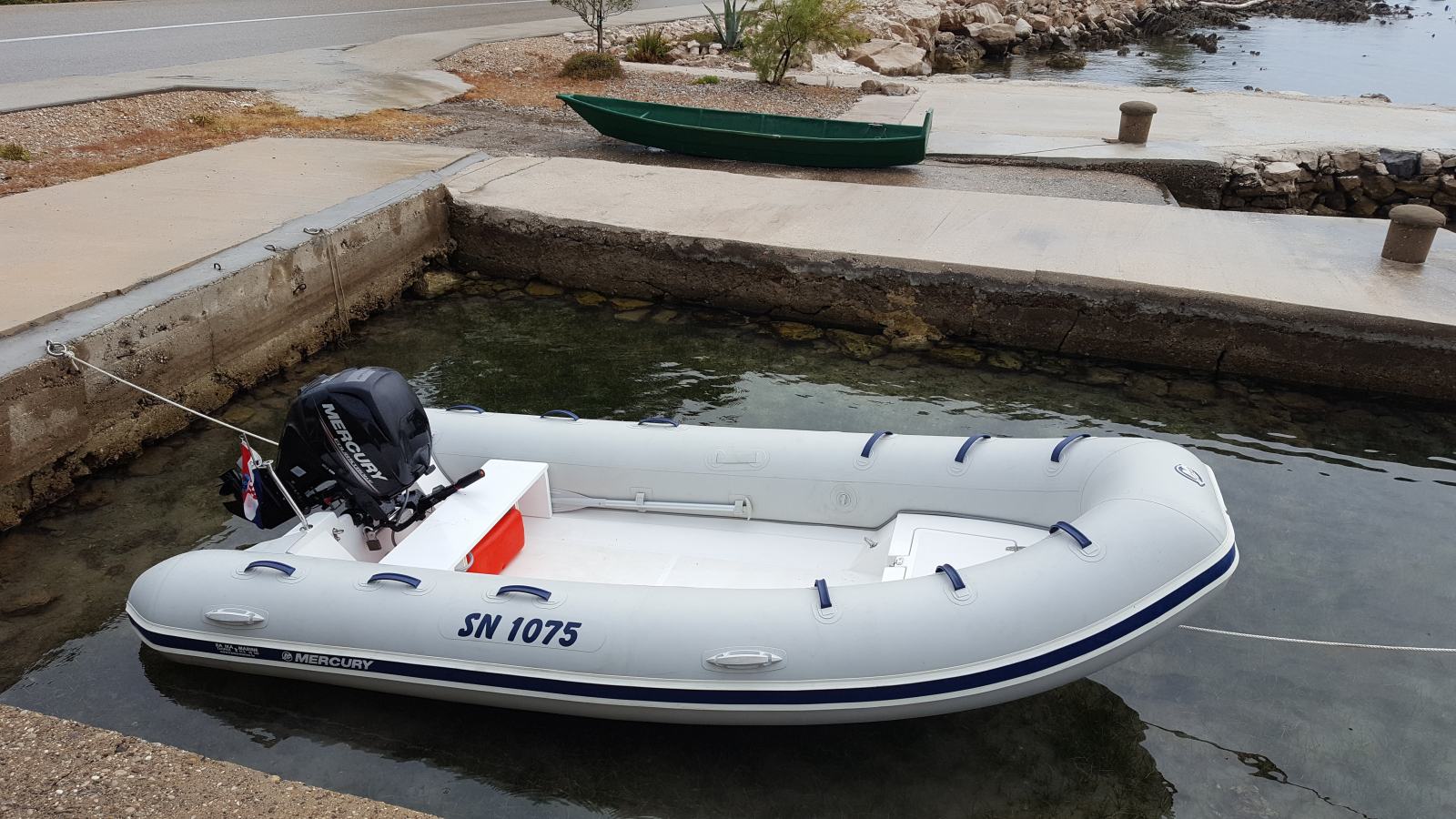Mercury Ocean Runner 420