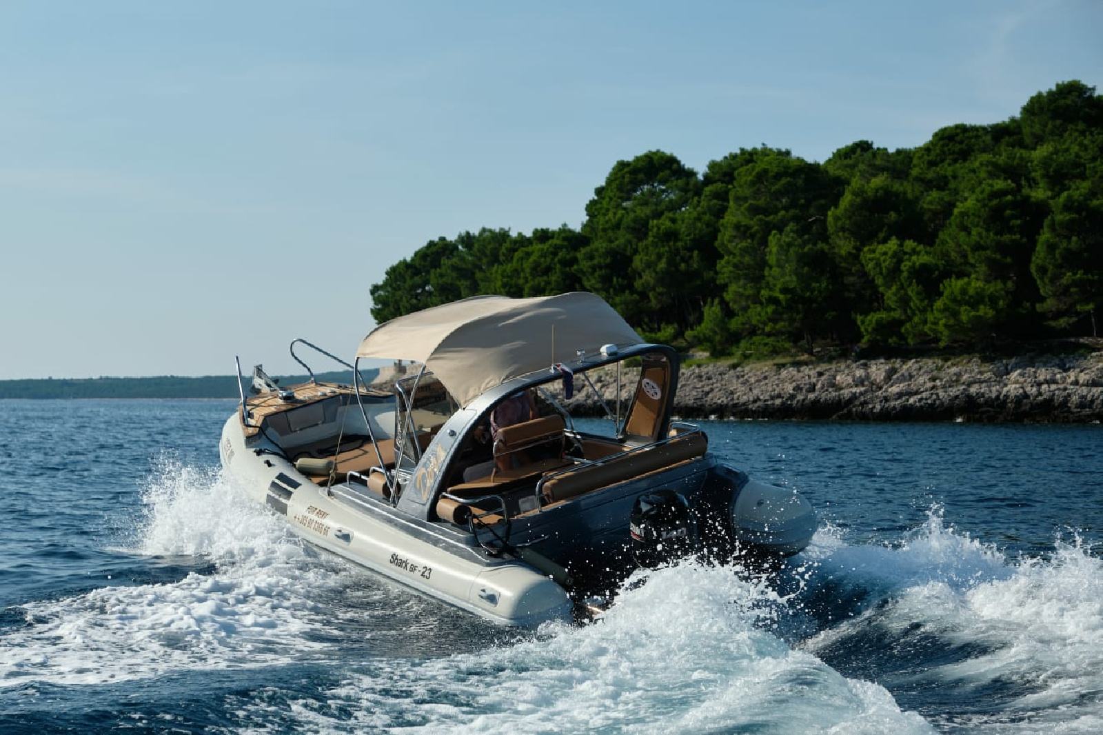 SHARK 23