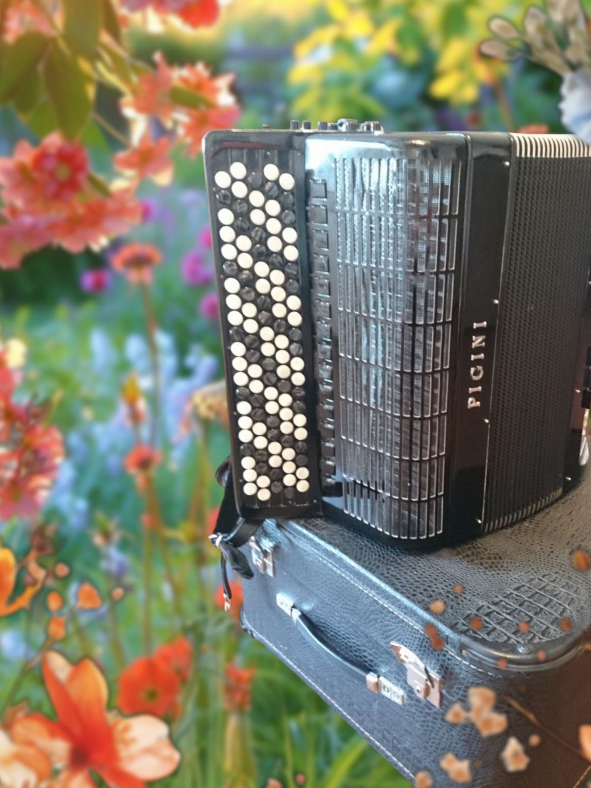 Harmonika PIGINI Bayan 58/B DE LUXE