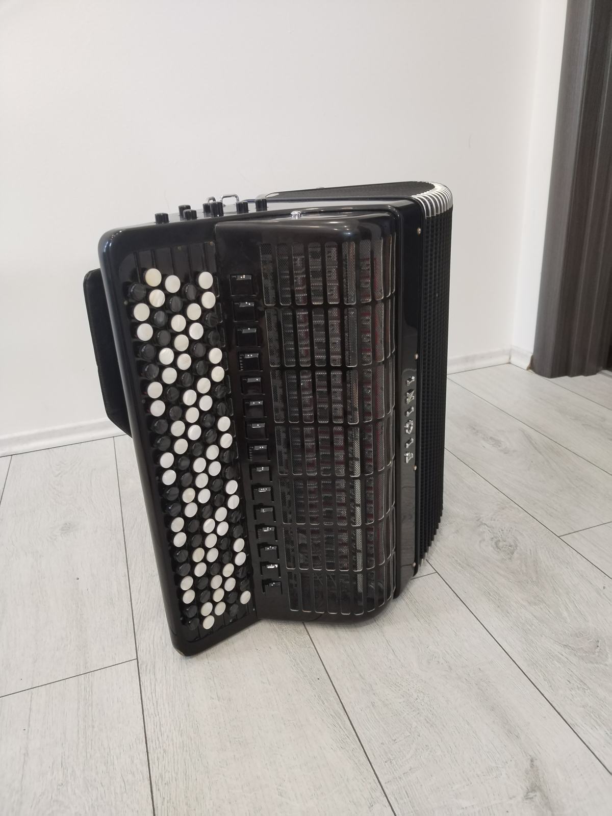 Harmonika Pigini Sirius