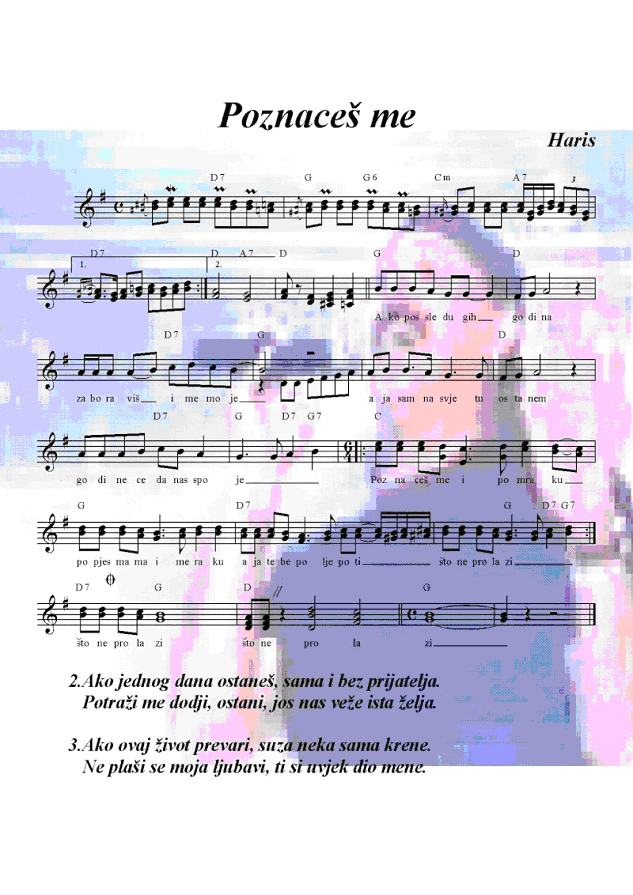 Prodajem paket nota - pjesama!