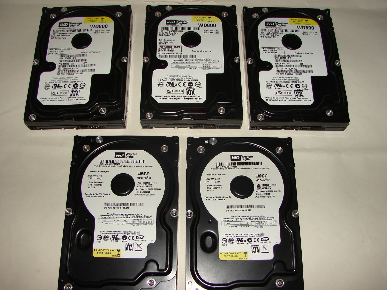 HDD WD 80 GB SATA