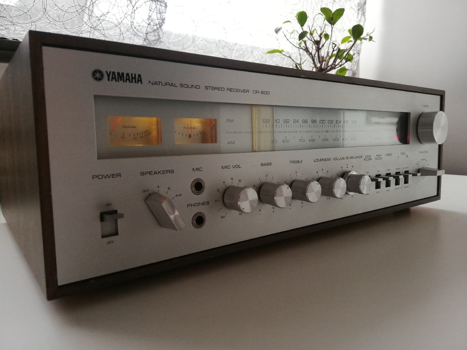 Yamaha CR-600