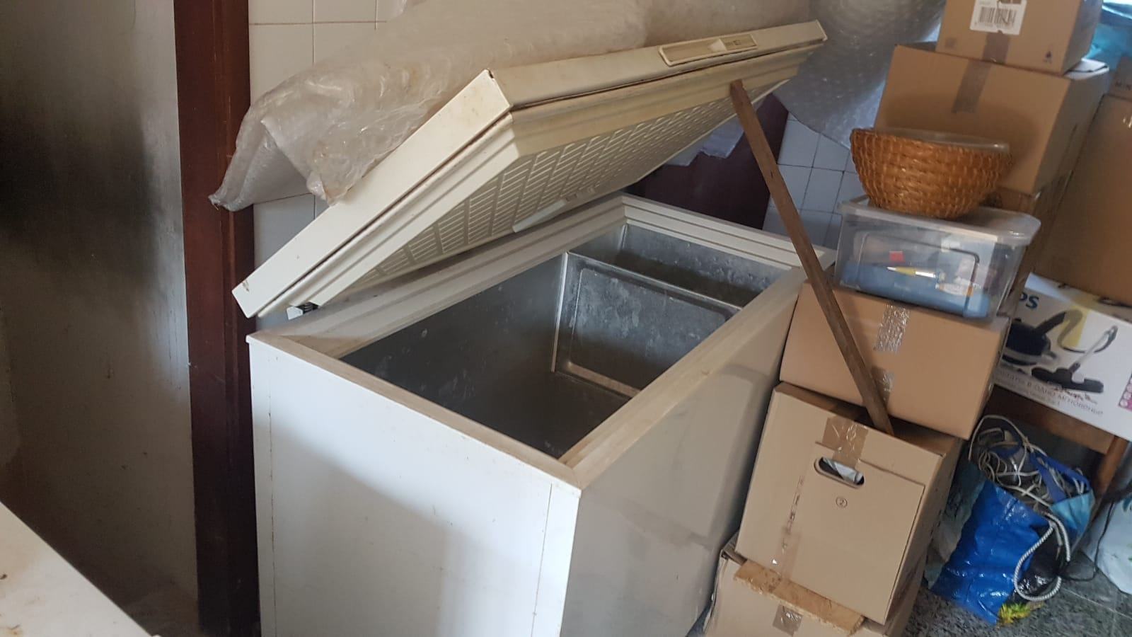 Ledenica, zamrzivač