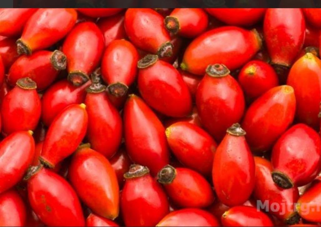 Svježi plod EKO divlja ruža(šipak)