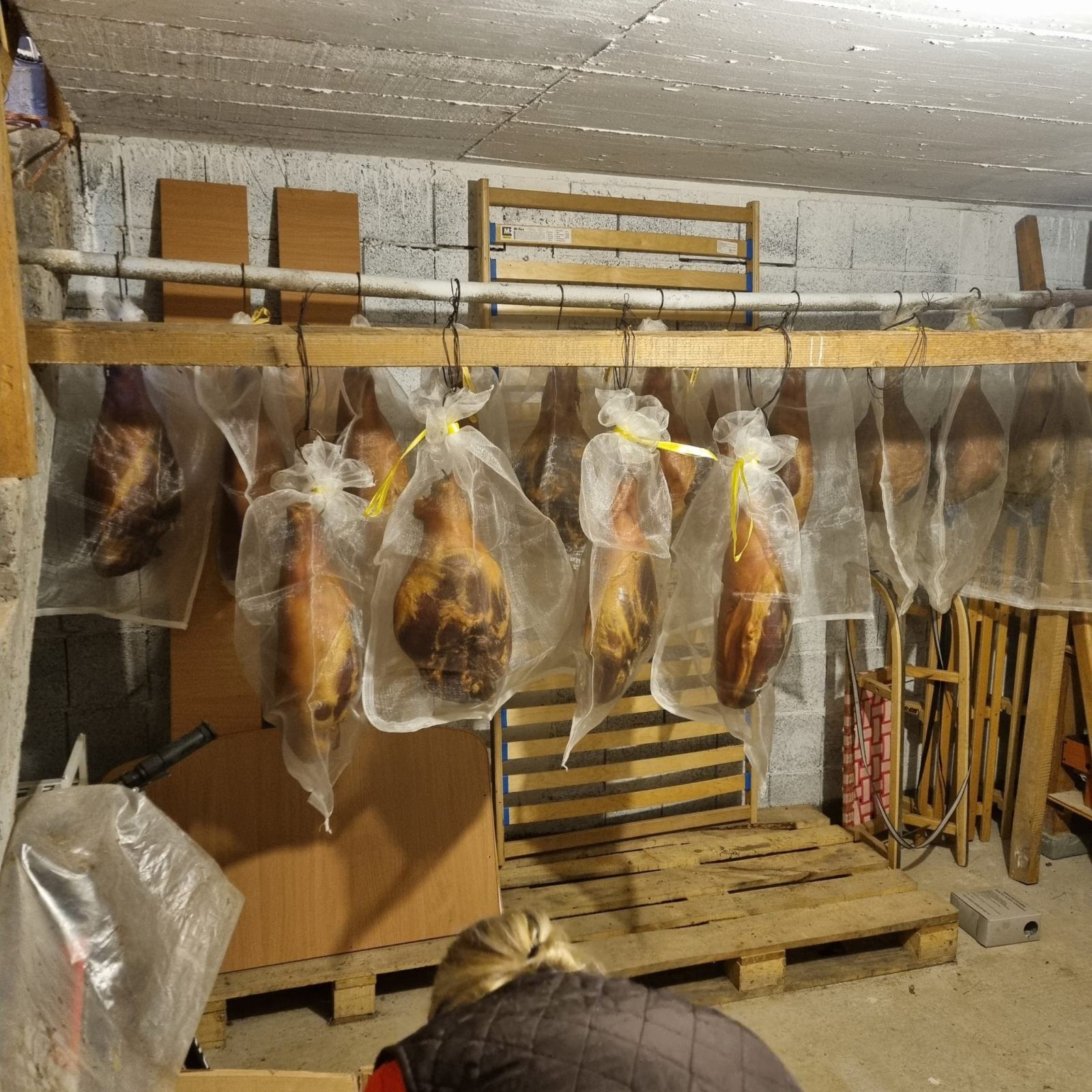 Domaca Sunka 22-23 God i 23 na 24 god