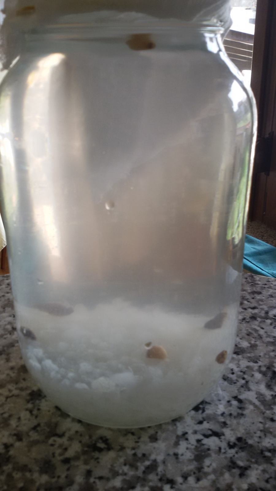 JAPANSKI KRISTALI--VODENI KEFIR- dajem - šaljem 12 žlica