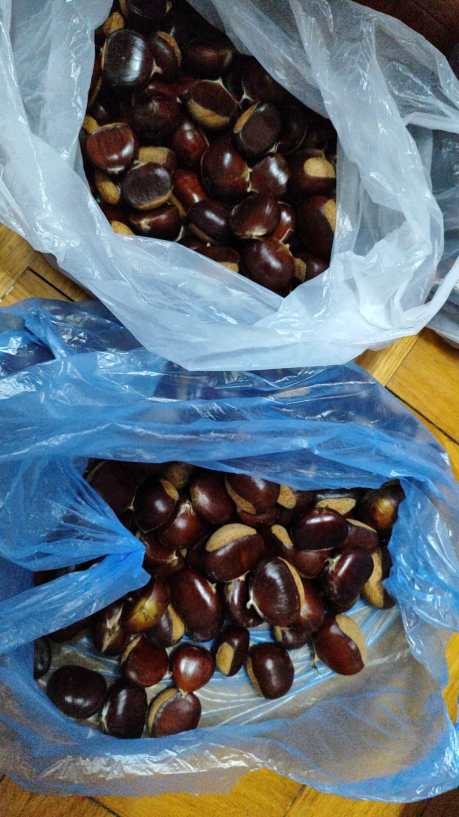 Kesteni 3.5€