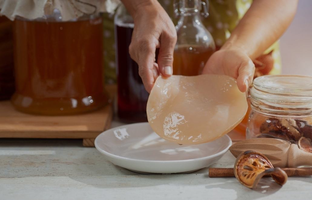 ŠALJEM POŠTOM - Kombucha SCOBY + starter tekućina + KEFIR zrnca gratis