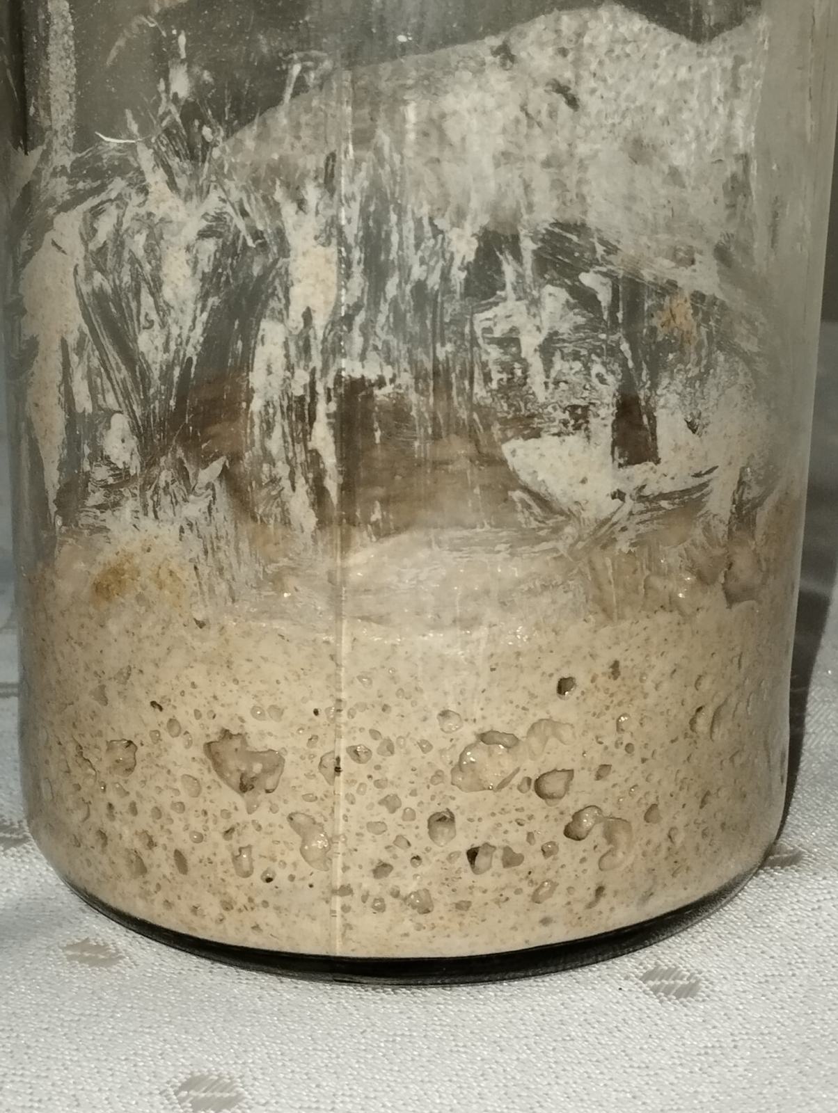 Starter raženi, kvasac za kruh, za kiselo tijesto Sourdough 150 grama