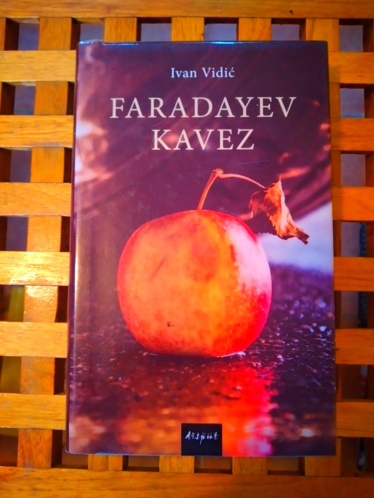 Faradayev kavez Ivan Vidić DISPUT TAGREB 2020