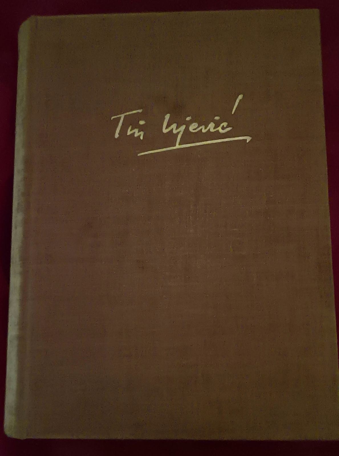 Književnost, Tin Ujevic