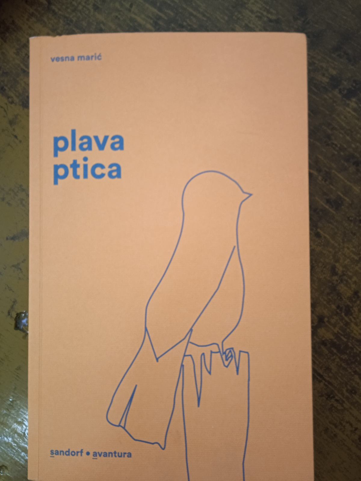 PLAVA PTICA Vesna Marić