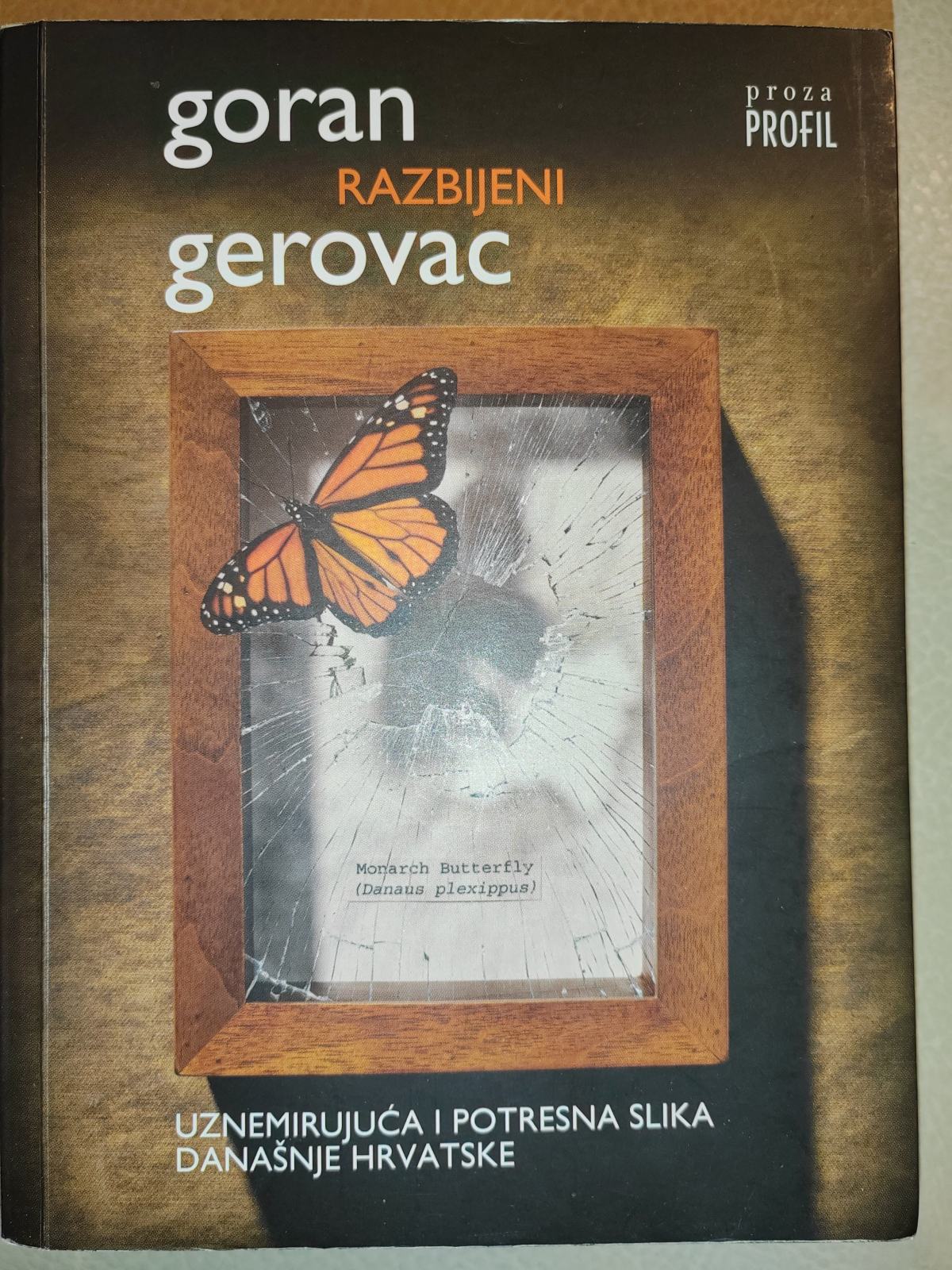 Razbijeni Goran Gerovac