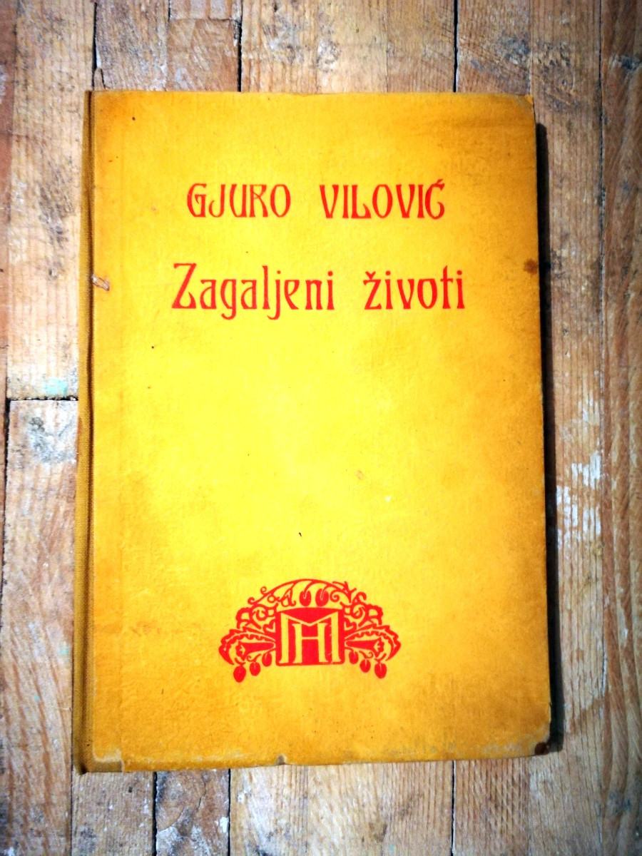 Vilović, Đuro - Zagaljeni životi : novele