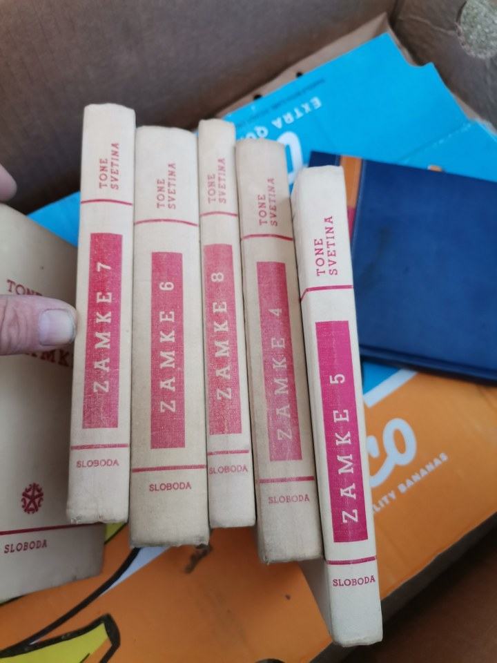 Zamke Tone Svetina 4-8