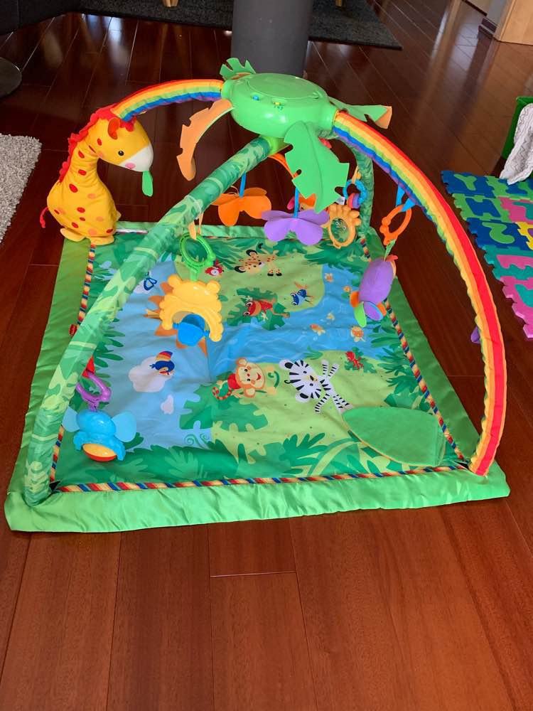 Fisher price Jungle gym