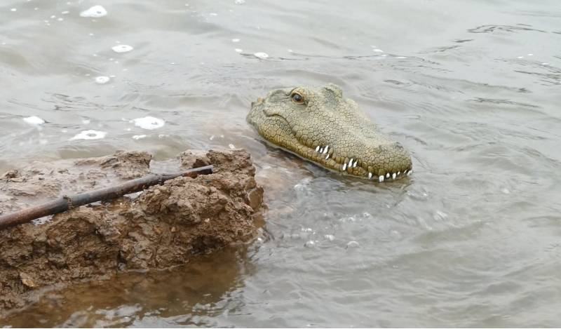 Krokodil na daljinsko upravljanje 8-) [BESPLATNA DOSTAVA]