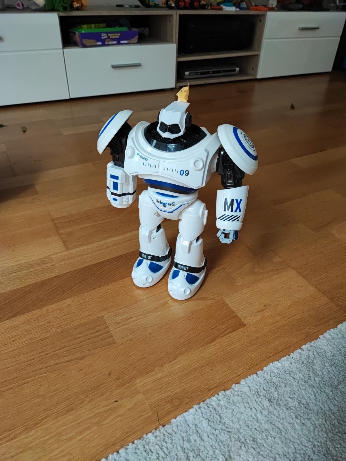 Robot