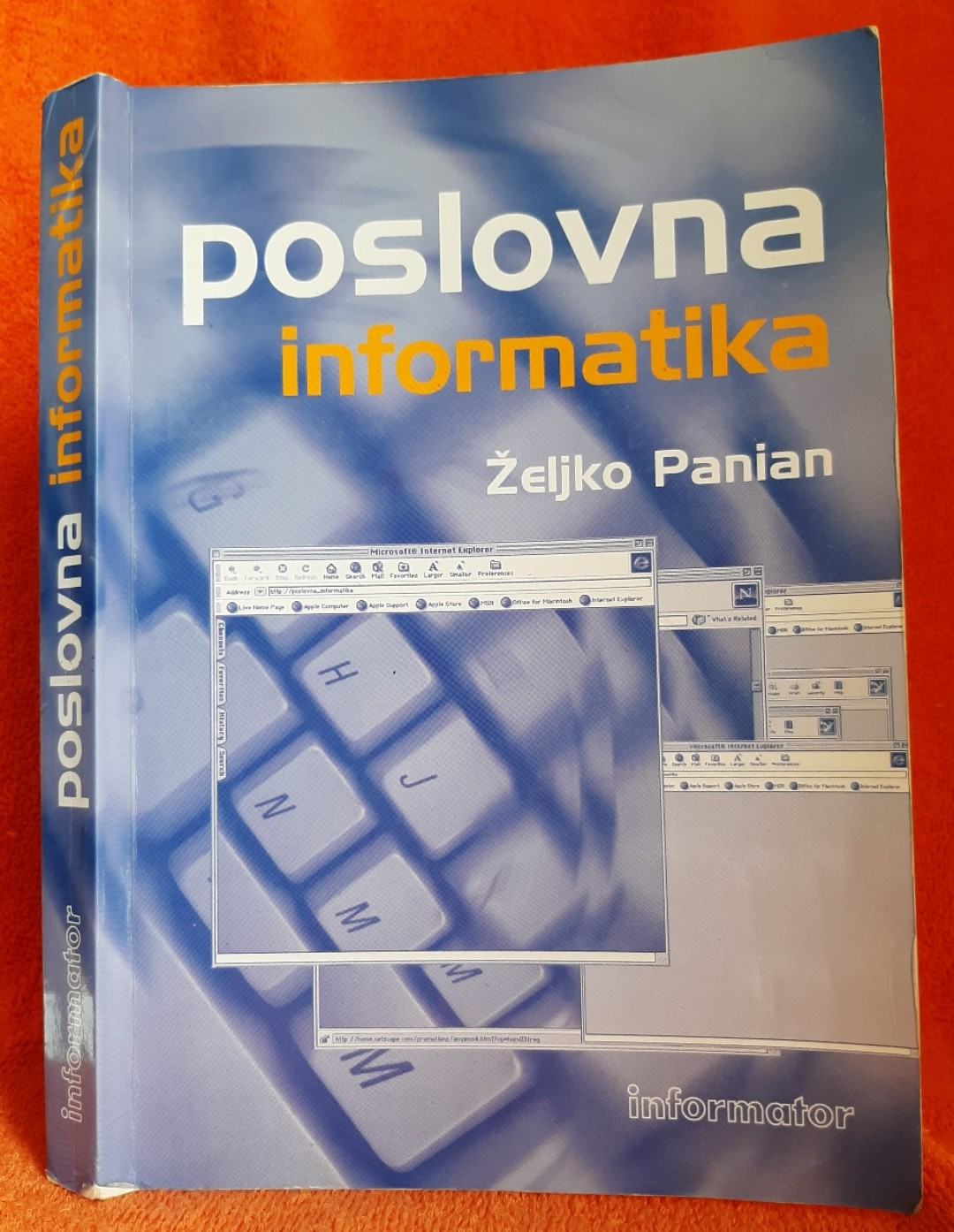 Poslovna informatika - Željko Panian