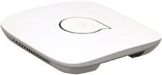 WI-AP210 Cloud Access Point