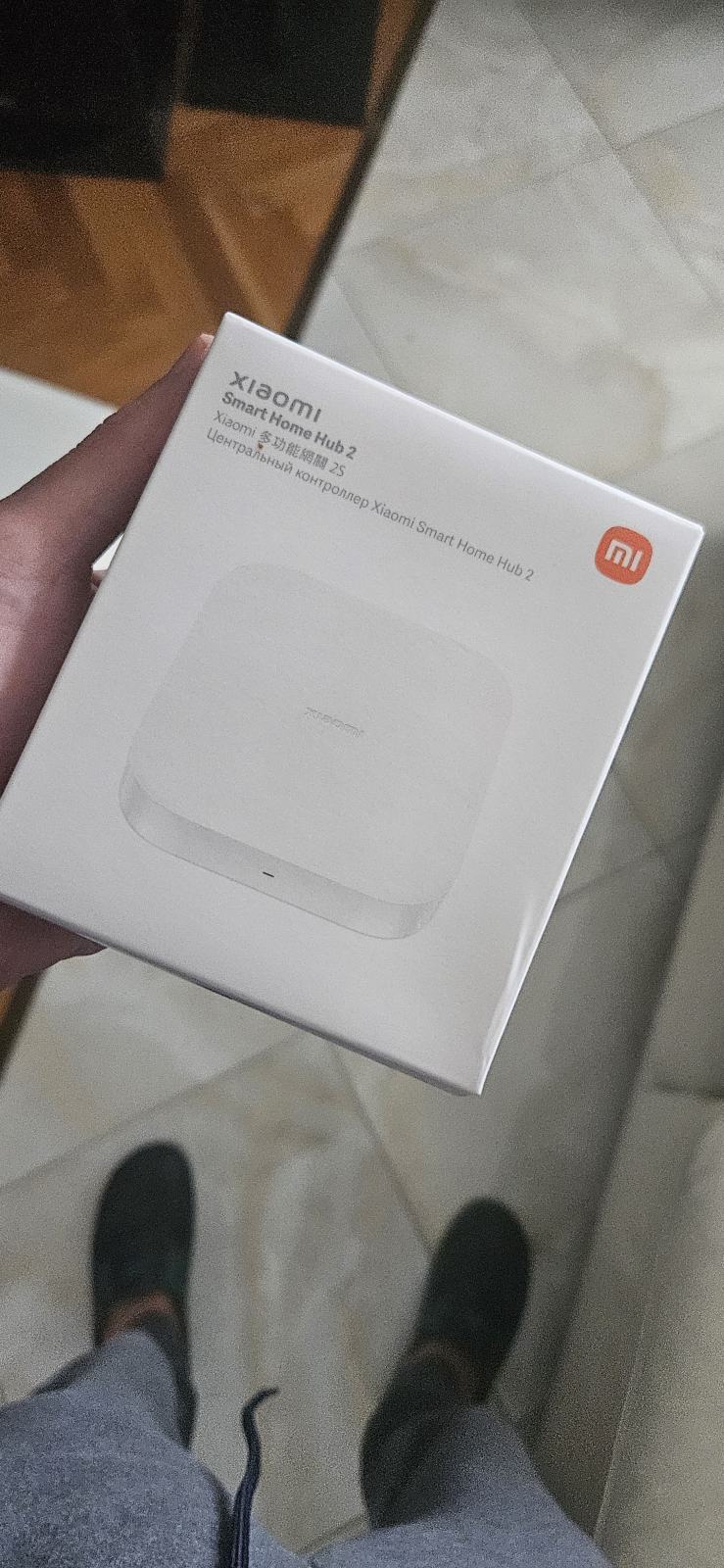 Xiaomi Smart Home Hub 2, novo